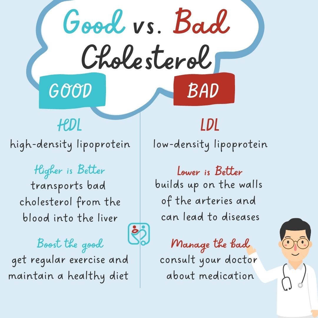 Good vs Bad Cholesterol