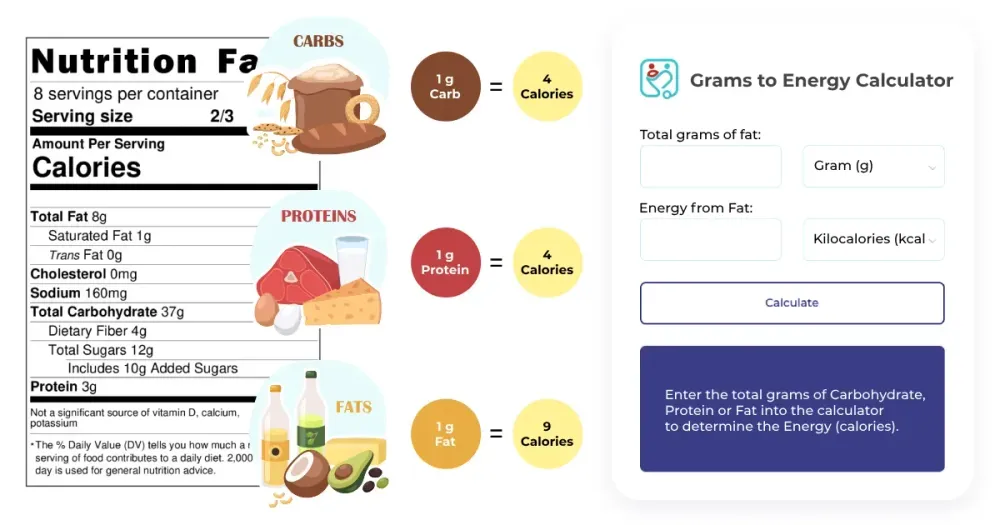 Grams to Calories Converter (grams to kcal)